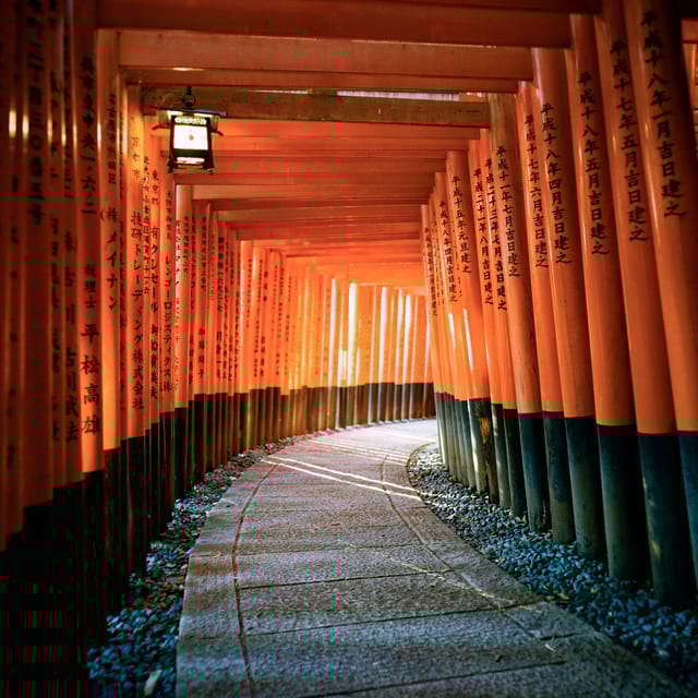 Kyoto Classic Day Trip: Peaceful Temples & Shrines & Gion - Booking and Cancellation Policy