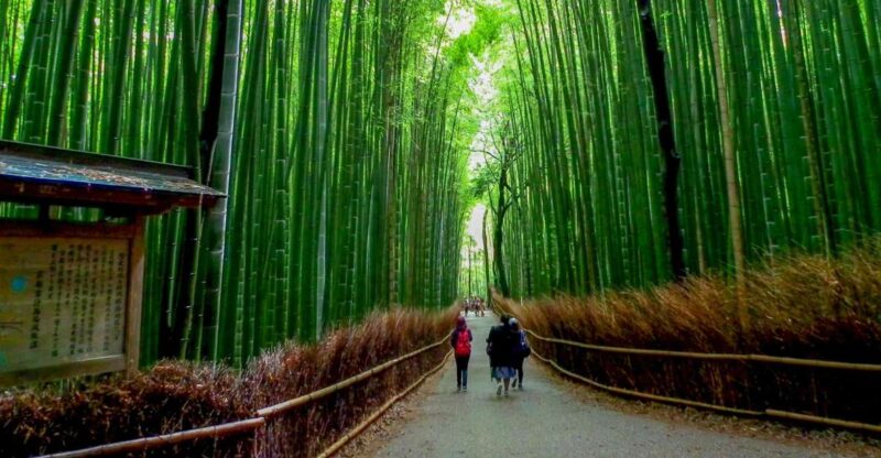 Kyoto: Japanese Gardens Private Customizable Tour - Customization and Flexibility