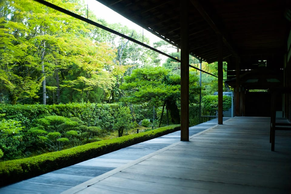 Kyoto: Nighttime Zen Meditation and Matcha Tea Experience - Illuminated Garden Tour