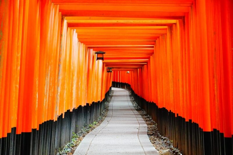 Kyoto: Private City Highlights Tour by Car - Itinerary Highlights
