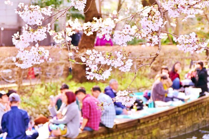 Kyoto Spring Evening (Cherry Blossom) Food Tour - Meeting and End Point