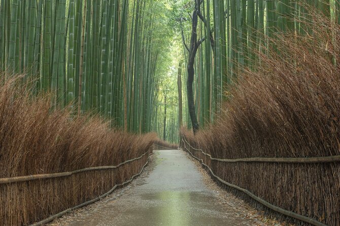 Kyoto Top Must-See Golden Pavilion and Bamboo Forest Half-Day Private Tour - Transportation and Fees