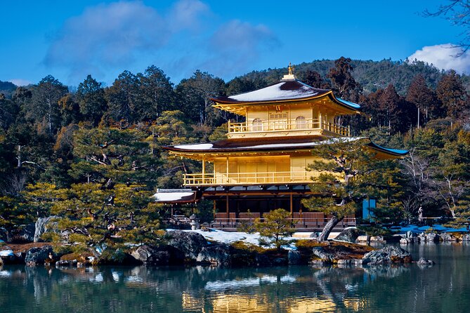 Kyoto Tour by Private Van - Private Bamboos & Fushimi Red Gates - Inclusions