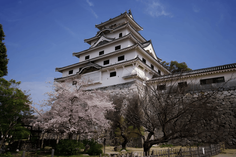 Kyushu 9-Hour Chartered Day Trip｜ Saga - Historical Relics and Cultural Heritage in Saga