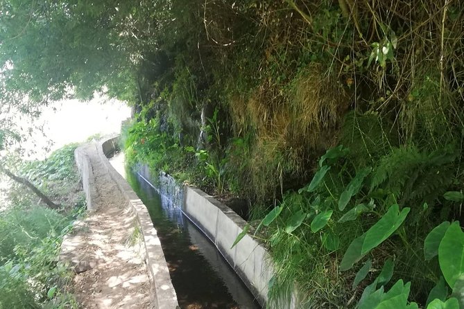 Levada Serra D'Agua - What to Expect During the Guided Walk
