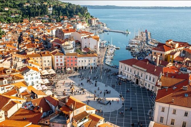 Lipica Stud Farm and Piran Tour From Ljubljana - Piran