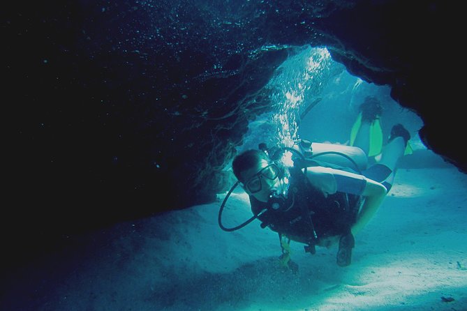 Local Guided Dives (For Certified/Licensed Divers) - Marine Life and Visibility