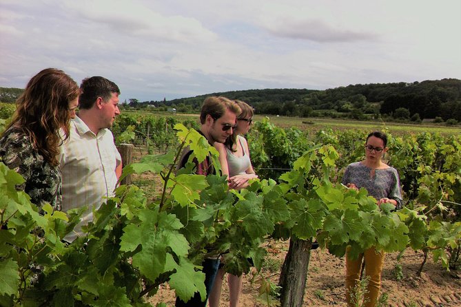 Loire Valley Half Day Wine Tour From Tours : Vouvray Wine Tasting - Highlights of the Wine Tasting Experience