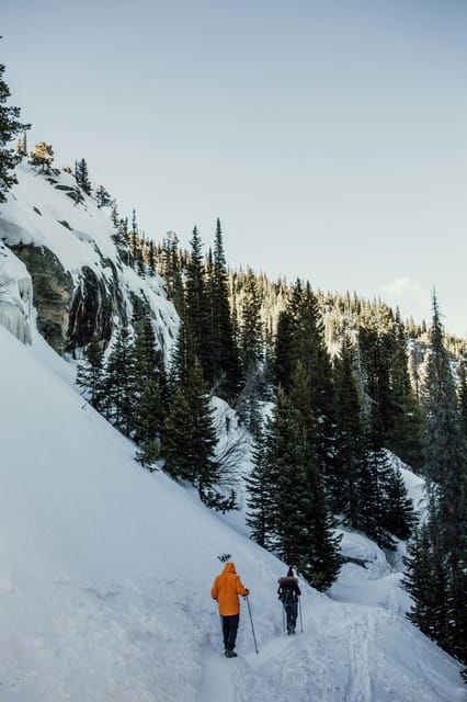Lucerne: Snowshoe Hiking Adventure to Glaubenberg Langis - Itinerary