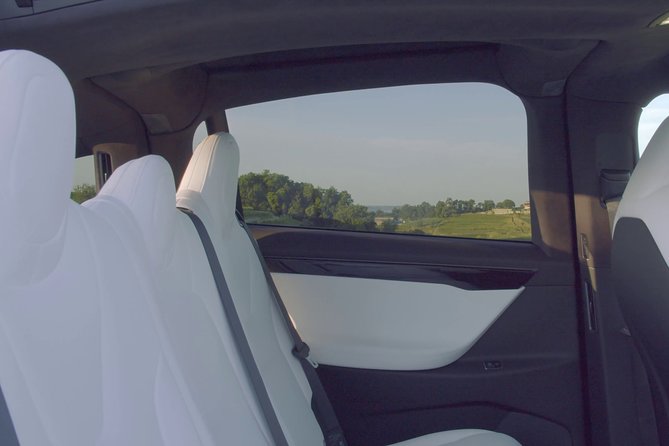 Luxurious Full Day Bordeaux Wine Tour in a Tesla - Customer Experiences and Feedback