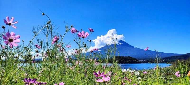 Luxury Mt. Fuji Private Tour: Elite Experience - Subaru Line Fifth Station