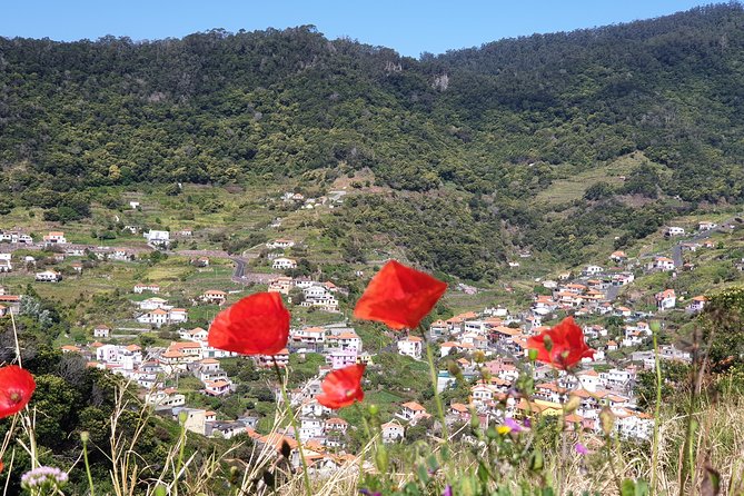 Maroços - Mimosa Valley - Scenic Views