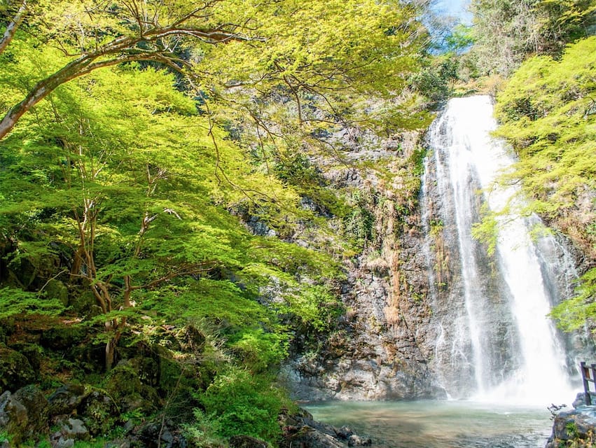 Minoo Park: Guided Nature Walk - Itinerary Highlights