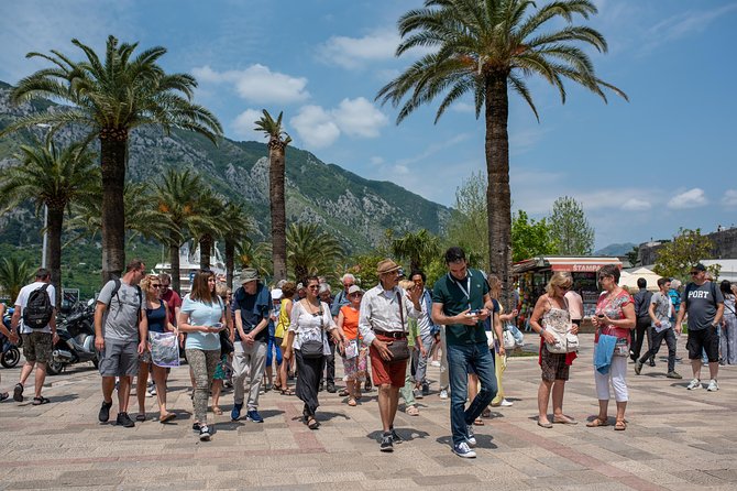 Montenegro: Bay of Kotor Day Trip From Dubrovnik - Scenic Highlights