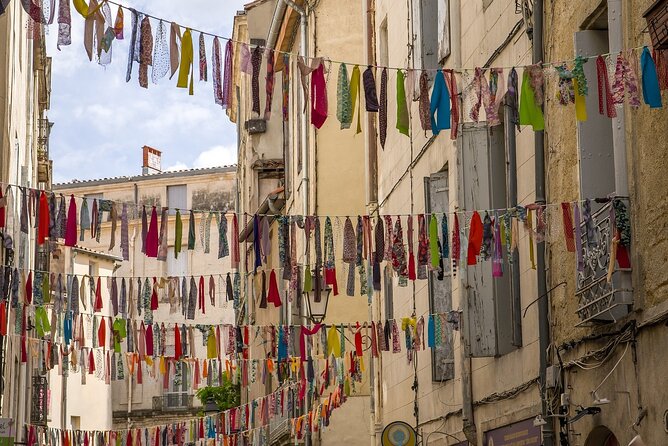 Montpellier Private Walking Tour With A Professional Guide - Accessibility