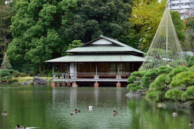 Monzen-Nakachō: Walking Tour With Sashimi Lunch & Teamlab - Monzen-Nakachō District: Exploring Historical Temples