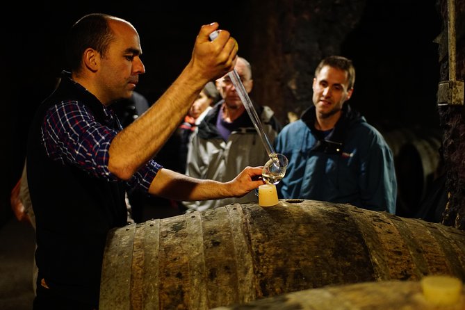 Morning - Loire Valley Wine Tour in Vouvray and Montlouis - Guided Tastings and Vineyard Exploration