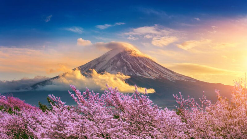 Mount Fuji: Exclusive Private Car Tour - Pickup and Transportation