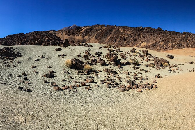Mount Teide and Tenerife North With Food & Wine Tasting Private Tour - Exploring Tenerifes Rugged Interiors