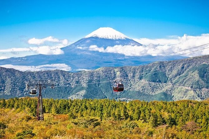 Mt. Fuji and Hakone Full Day Tour With English Speaking Driver - Inclusions