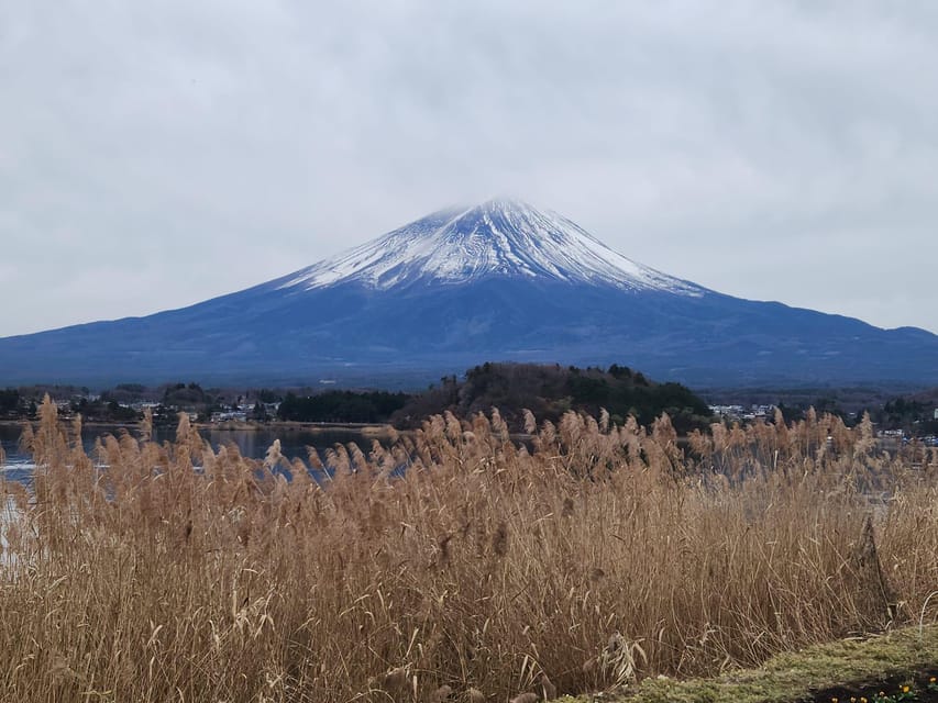 Mt Fuji and Hakone Private Tour With English Speaking Driver - Pickup and Drop-off