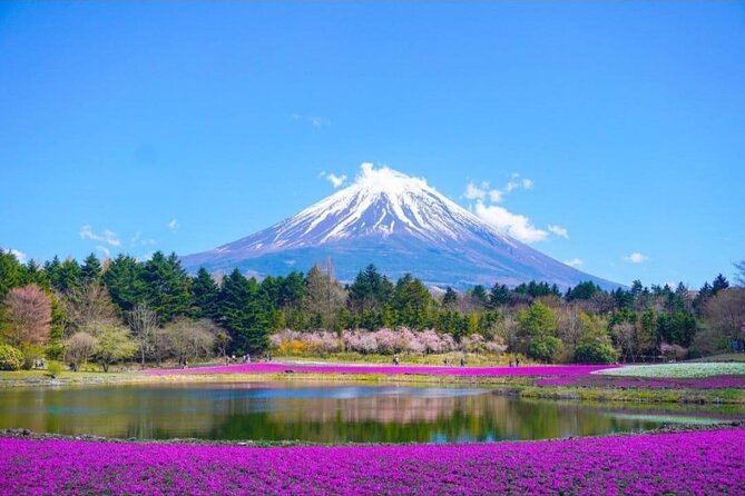 Mt. Fuji and Lake Kawaguchi Day Trip With Guide - Pickup and Drop-off Details