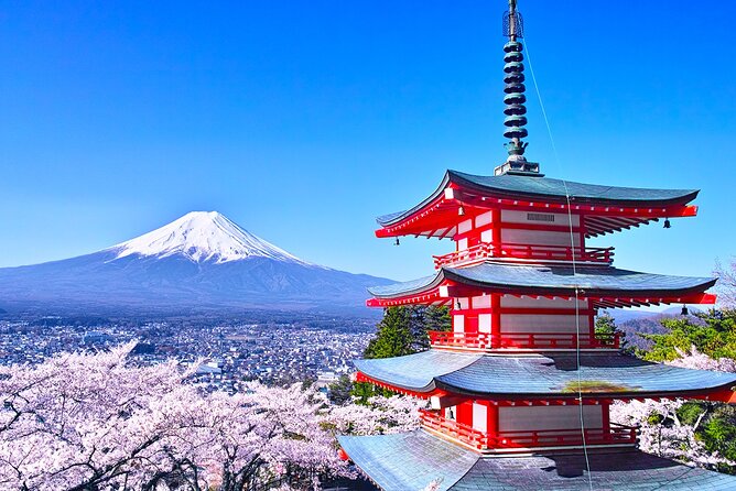 Mt.Fuji Arakurayama Sengen Park,Oshino Hakkai,Kawaguchi Lake Tour - Transportation and Meeting Information