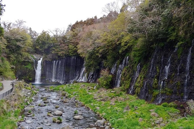 Mt.Fuji Chartered Taxi Tour - Accessibility
