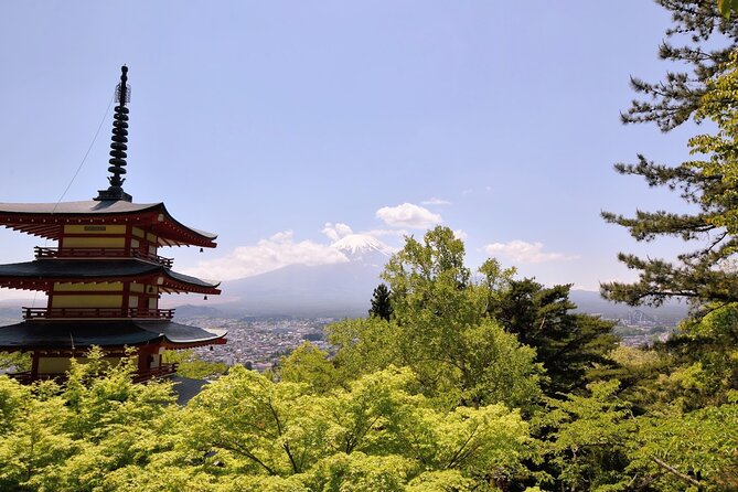Mt Fuji Day Trip From Tokyo by Car With Photographer Guide - Inclusions of the Tour