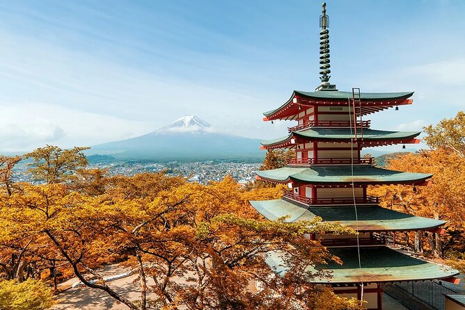 Mt Fuji Exploration Tour With Free Japanese Kusa Mochi From Tokyo - Meeting and Transportation