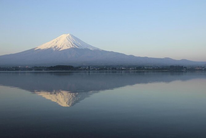 Mt. Fuji Five Lakes Area Private Tour With Licensed Guide(Kawaguchiko Area Dep) - Accessibility and Participation