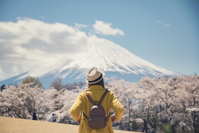 Mt Fuji & Hakone Private Day Tour W/ English Speaking Driver - Highlights and Itinerary