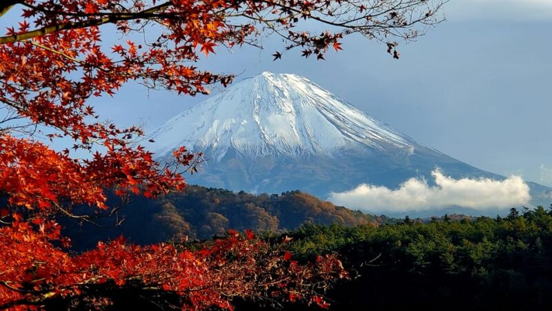 Mt Fuji & Hakone Tour Bullet Train Return GREEN NUMBER PLATE - Itinerary Highlights