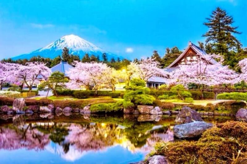Mt. Fuji One Day Private Tour With English Speaking Driver - Itinerary Highlights