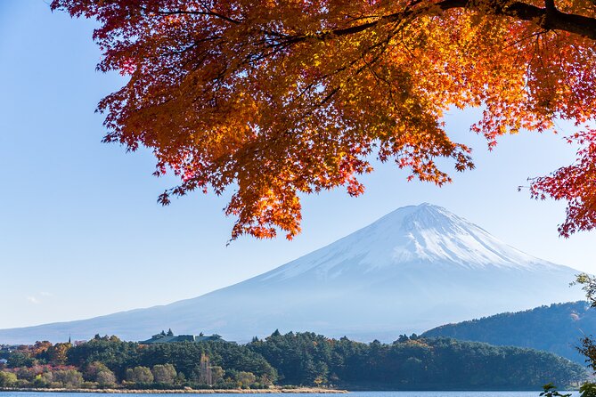 Mt. Fuji or Hakone Private Sightseeing Day Trip From Tokyo - Inclusions and Additional Features