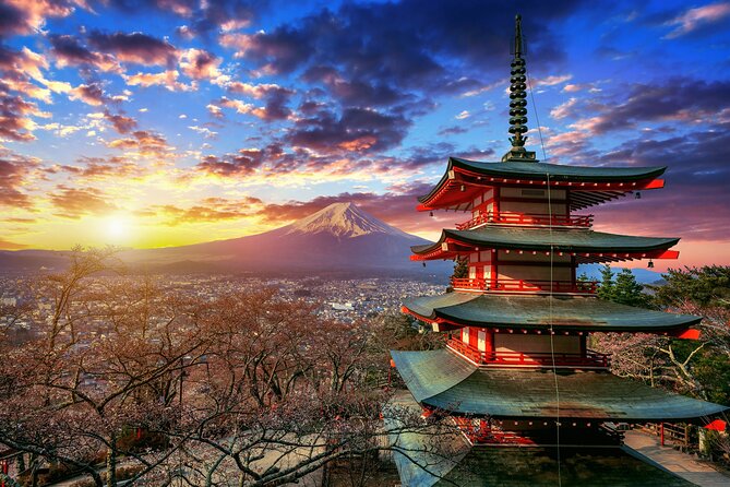 MT. Fuji/ Private Tour Delivered and Guided by a Top-Tier Driver - Pricing and Booking Information
