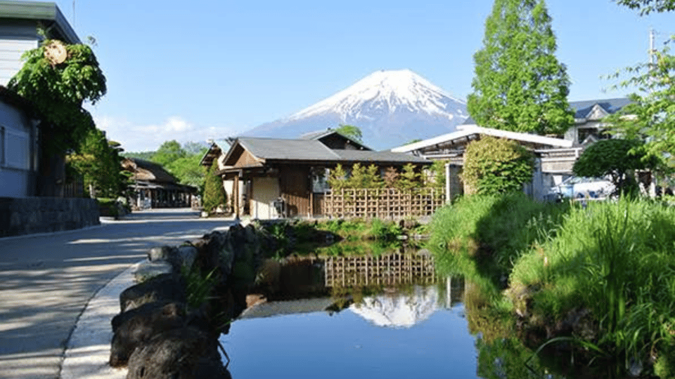 Mt Fuji Sightseeing Private Tour With English Speaking Guide - Optional and Exclusions
