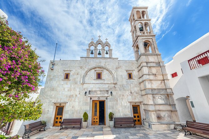 Mykonos Delight: a Perfect Day Trip From Your Cruise Ship - Customer Feedback and Highlights
