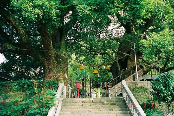 Nagasaki Peace Park and Atomic Bomb Museum - Highlights of the Nagasaki Peace Park