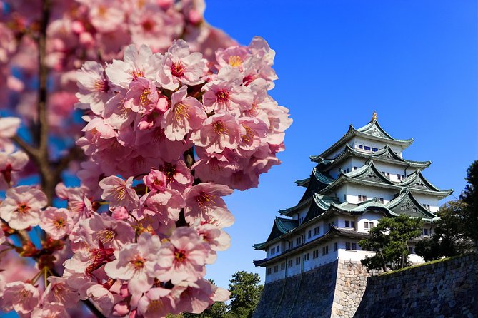 Nagoya Highlights & Hidden Gems: Private Tour With a Local - Immerse Yourself in the Vibrant Neon Lights of Osu Kannon