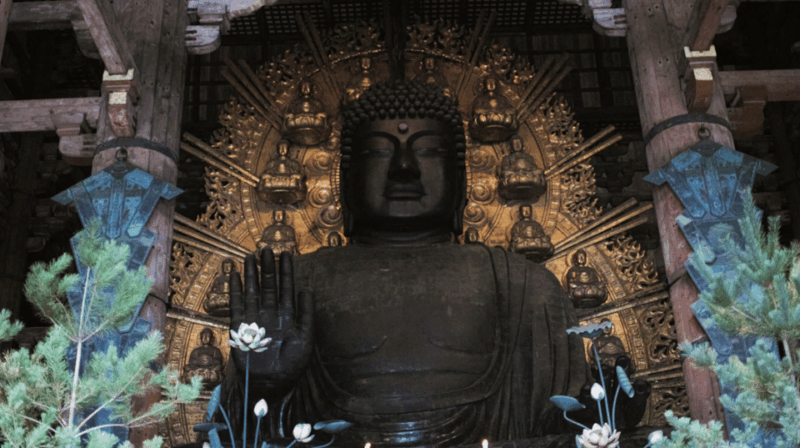 Nara Private Custom Tour With Local Guide - Pricing and Payment