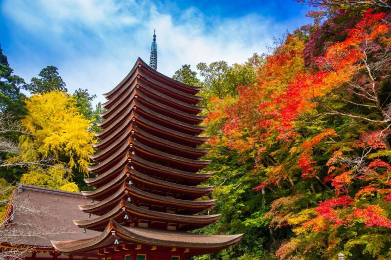 Nara: Private Tour With Private Guide - Customizable Itinerary