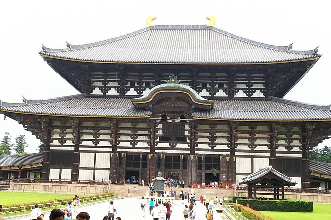 Nara Todaiji Lazy Bird Walking Tour - Taking in Nara Parks Serene Atmosphere
