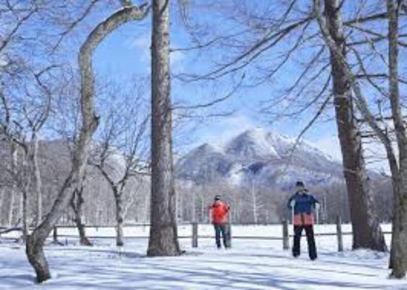 Nikko World Heritage Tour With English Drivers - Itinerary Highlights