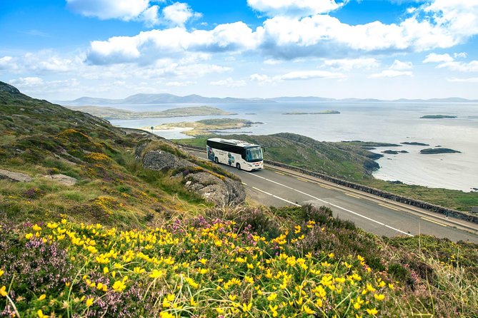 NO 1 Ring of Kerry Tour Review - Tour Experience and Feedback