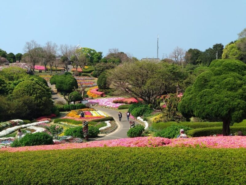 Nokonoshima Island Park: Garden Tour & Wagyu BBQ Lunch - Location and Accessibility