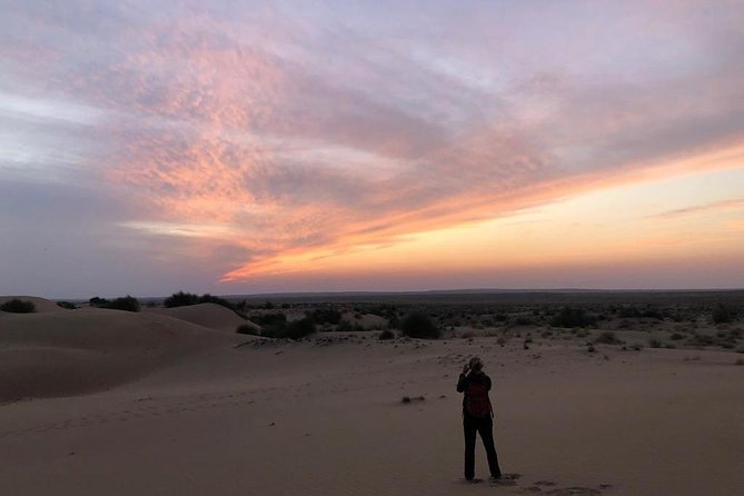 Non Touristic Half Day Camel Safari Thar Desert Sunset - Itinerary