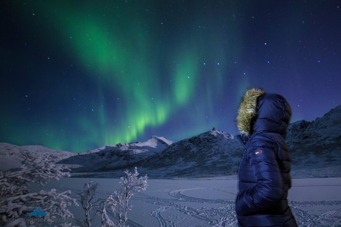 Northern Lights Chase - Meeting and Accessibility