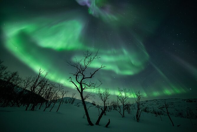 Northern Lights Expedition With Arctic Photo Guide Max 6 Guests - Meeting and Pickup Information