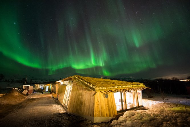 Northern Lights Husky Visit - Meeting Details and Logistics
